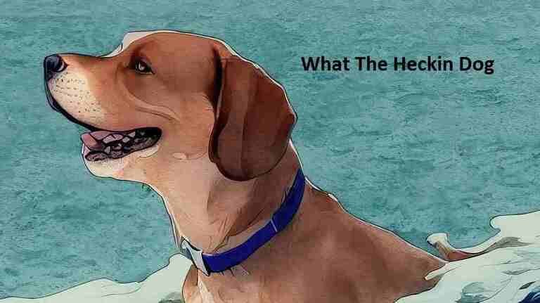 What The Heckin Dog: Unraveling the Canine Mystery - Freeadshare.com
